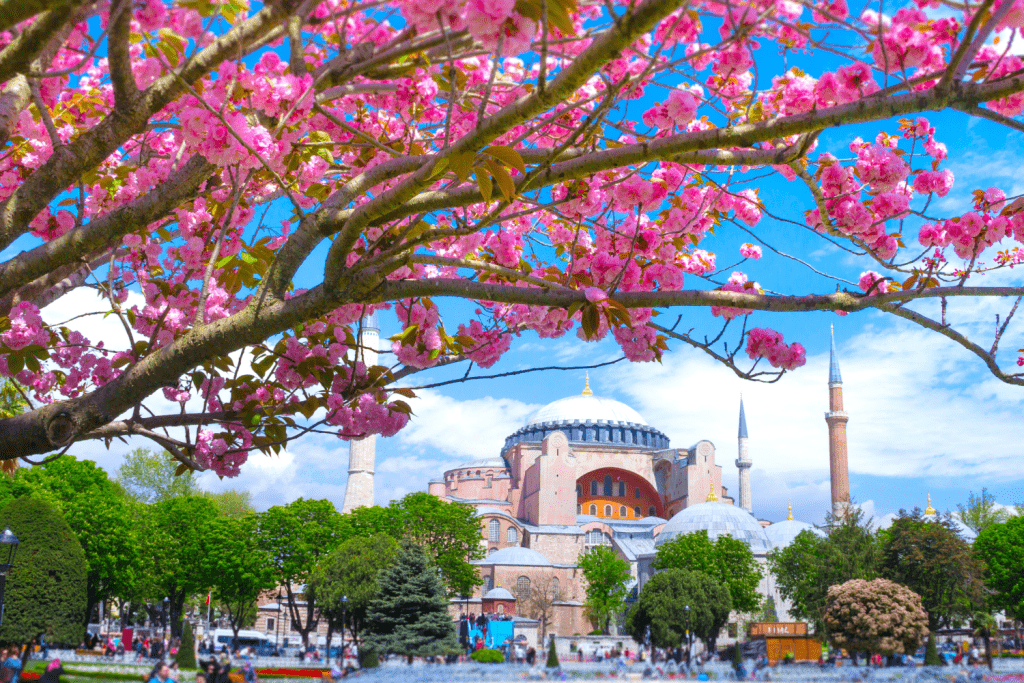 Tour della Turchia - Master Explorer